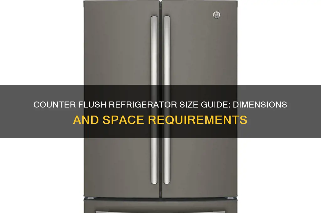 Counter Flush Refrigerator Size Guide: Dimensions And Space ...