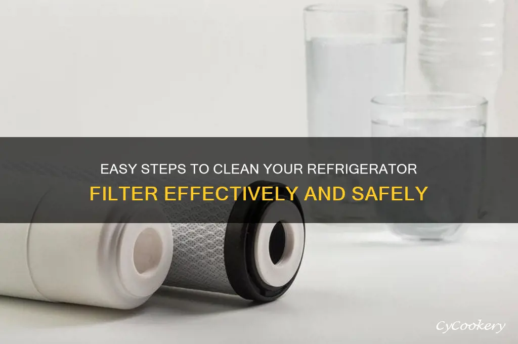 Easy Steps To Clean Your Refrigerator Filter Effectively And Safely ...