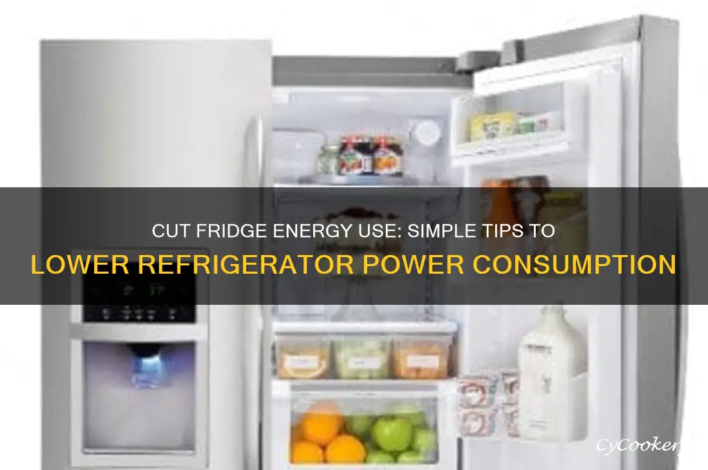 Cut Fridge Energy Use: Simple Tips To Lower Refrigerator Power ...