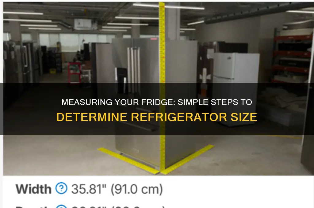 Measuring Your Fridge: Simple Steps To Determine Refrigerator Size ...