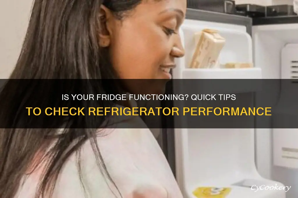 Is Your Fridge Functioning? Quick Tips To Check Refrigerator ...