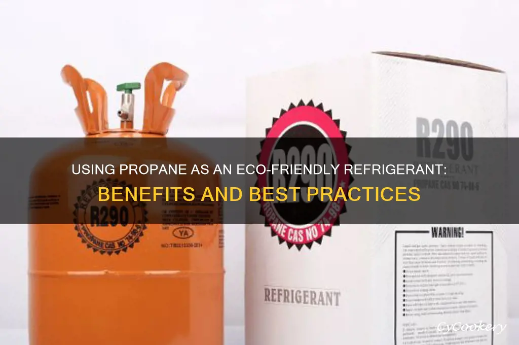 Using Propane As An Eco-Friendly Refrigerant: Benefits And Best ...