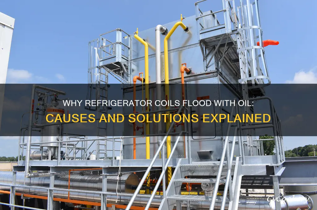 Why Refrigerator Coils Flood With Oil: Causes And Solutions Explained ...