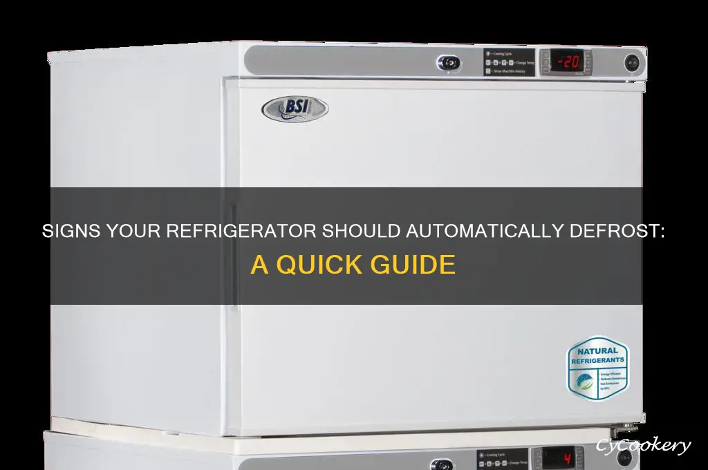 Signs Your Refrigerator Should Automatically Defrost: A Quick Guide ...