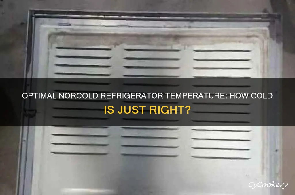Optimal Norcold Refrigerator Temperature: How Cold Is Just Right ...