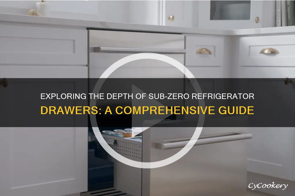 Exploring The Depth Of Sub-Zero Refrigerator Drawers: A Comprehensive ...