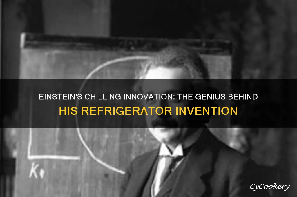 Einstein's Chilling Innovation: The Genius Behind His Refrigerator ...