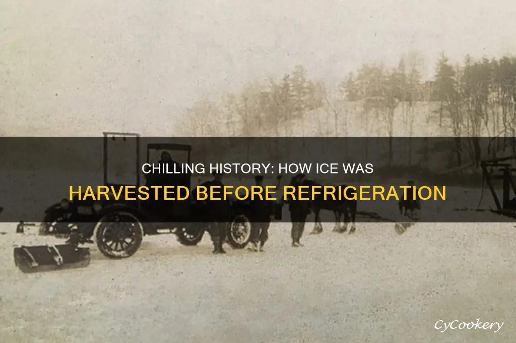 Chilling History: How Ice Was Harvested Before Refrigeration | CyCookery