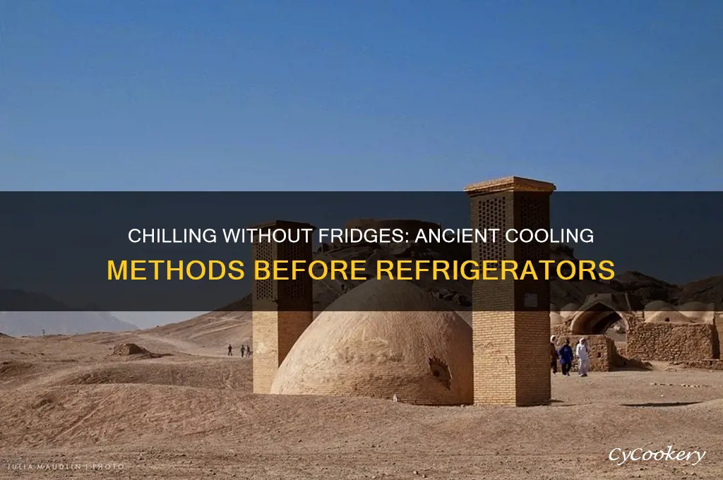 Chilling Without Fridges: Ancient Cooling Methods Before Refrigerators ...