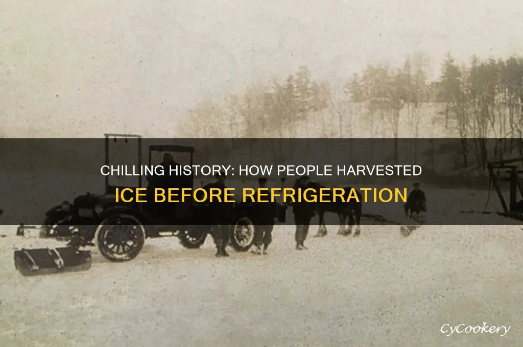 Chilling History: How People Harvested Ice Before Refrigeration | CyCookery