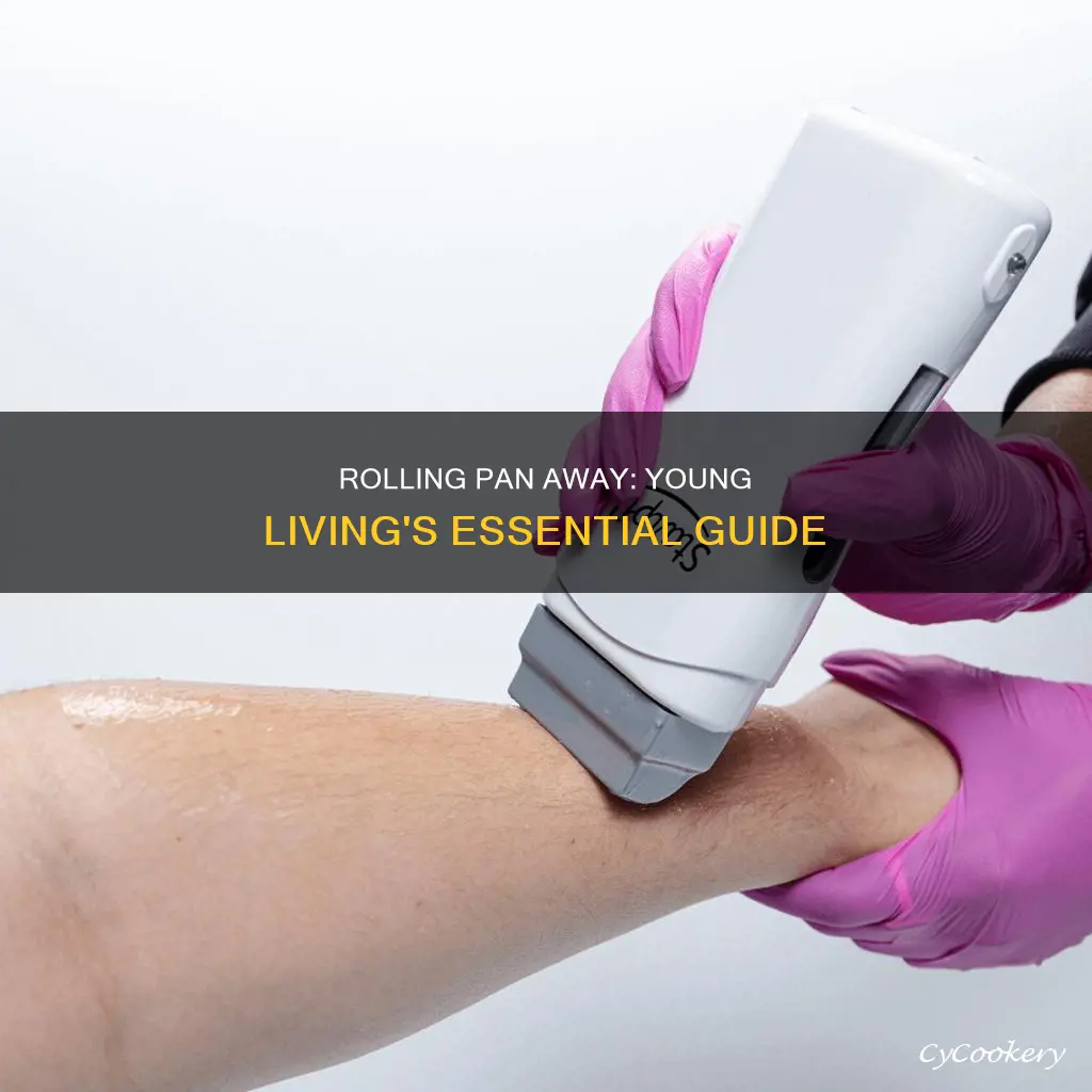 Rolling Pan Away: Young Living's Essential Guide | CyCookery
