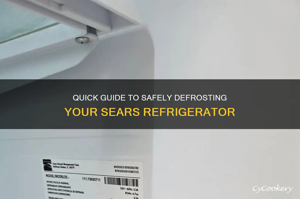 Quick Guide To Safely Defrosting Your Sears Refrigerator | CyCookery