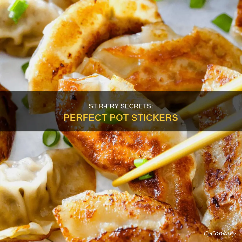 Stir-Fry Secrets: Perfect Pot Stickers | CyCookery