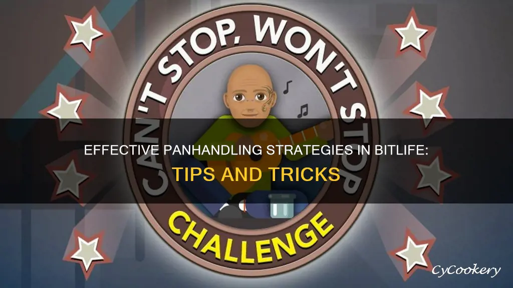 Effective Panhandling Strategies In Bitlife: Tips And Tricks | CyCookery