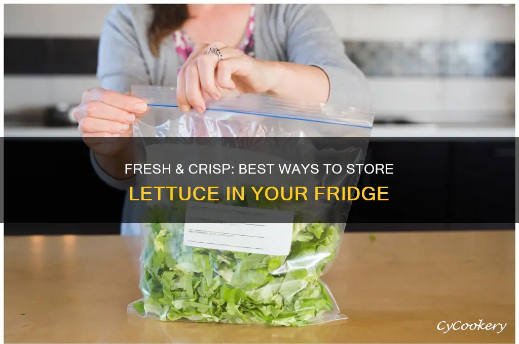 Fresh & Crisp: Best Ways To Store Lettuce In Your Fridge | CyCookery