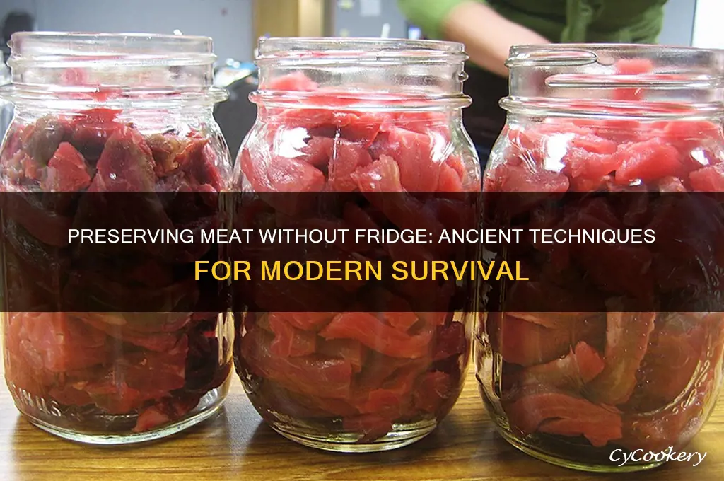 Preserving Meat Without Fridge: Ancient Techniques For Modern Survival ...