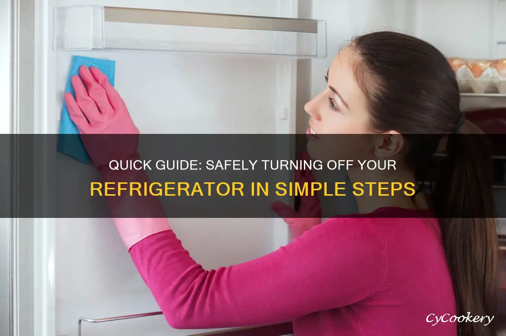 Quick Guide: Safely Turning Off Your Refrigerator In Simple Steps ...