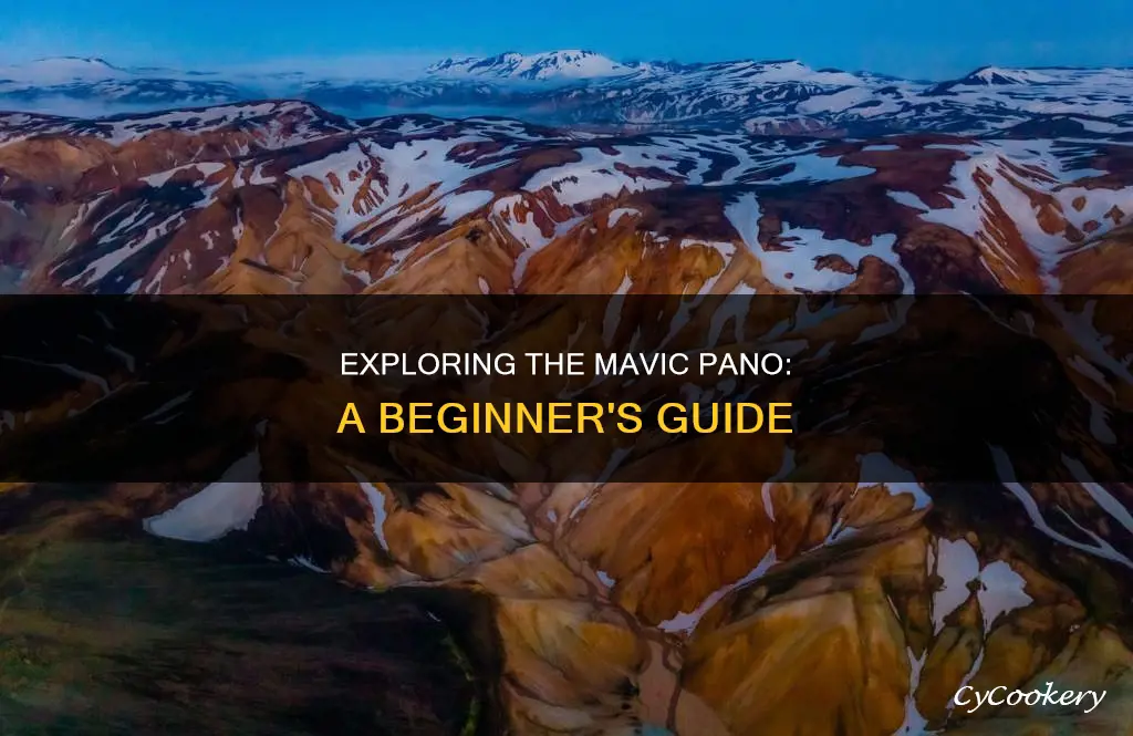 Exploring The Mavic Pano: A Beginner's Guide | CyCookery