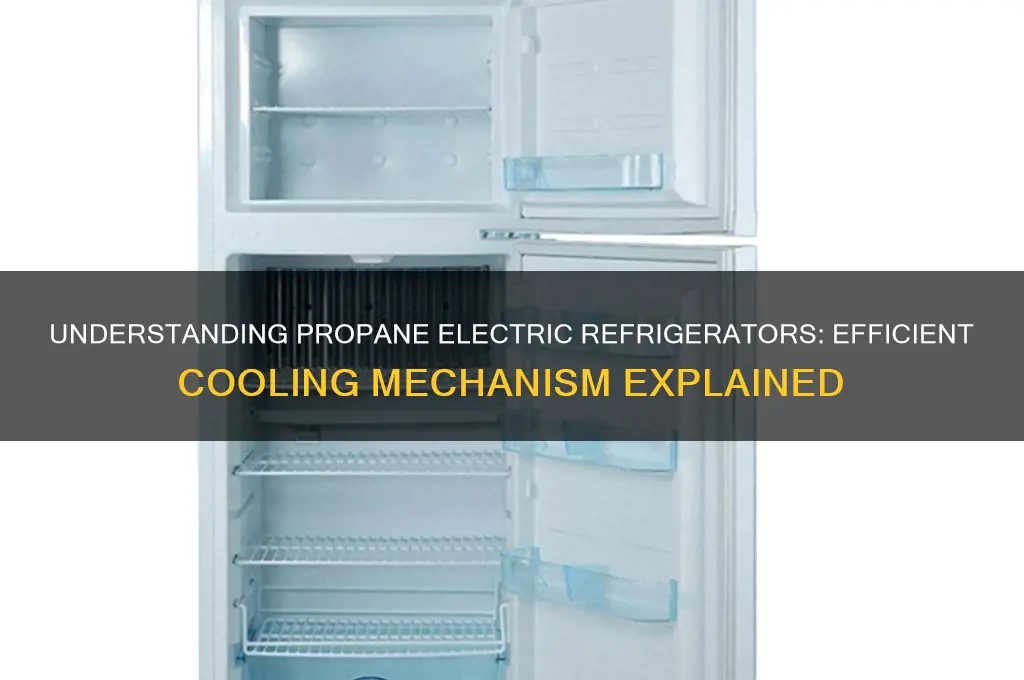 Understanding Propane Electric Refrigerators: Efficient Cooling ...