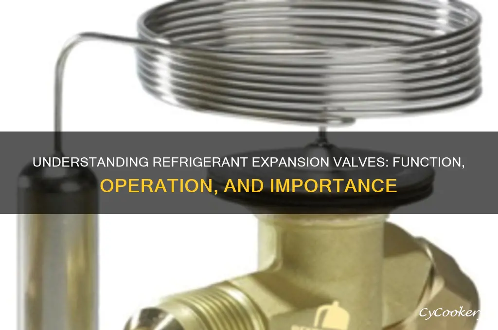 Understanding Refrigerant Expansion Valves: Function, Operation, And ...