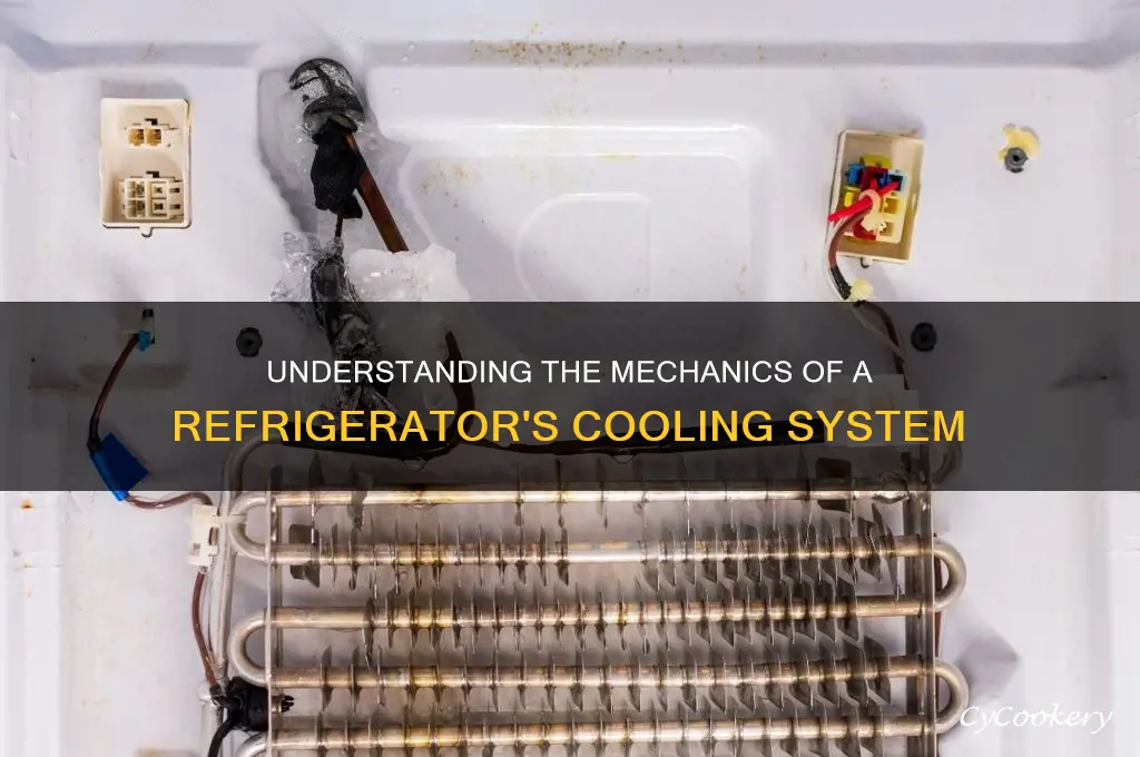 Understanding The Mechanics Of A Refrigerator's Cooling System | CyCookery