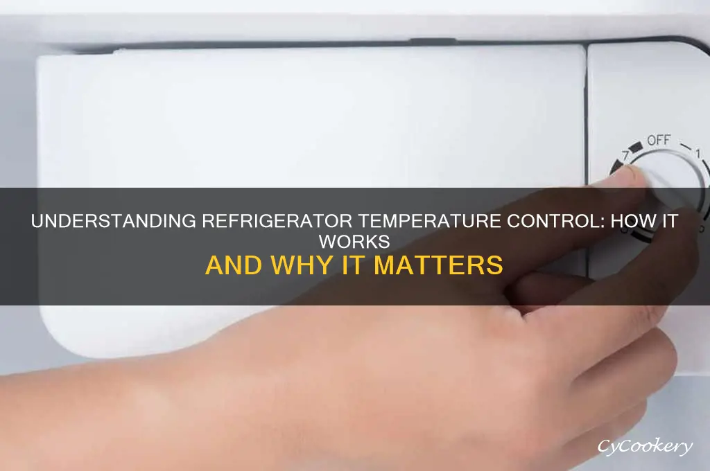 Understanding Refrigerator Temperature Control: How It Works And Why It ...