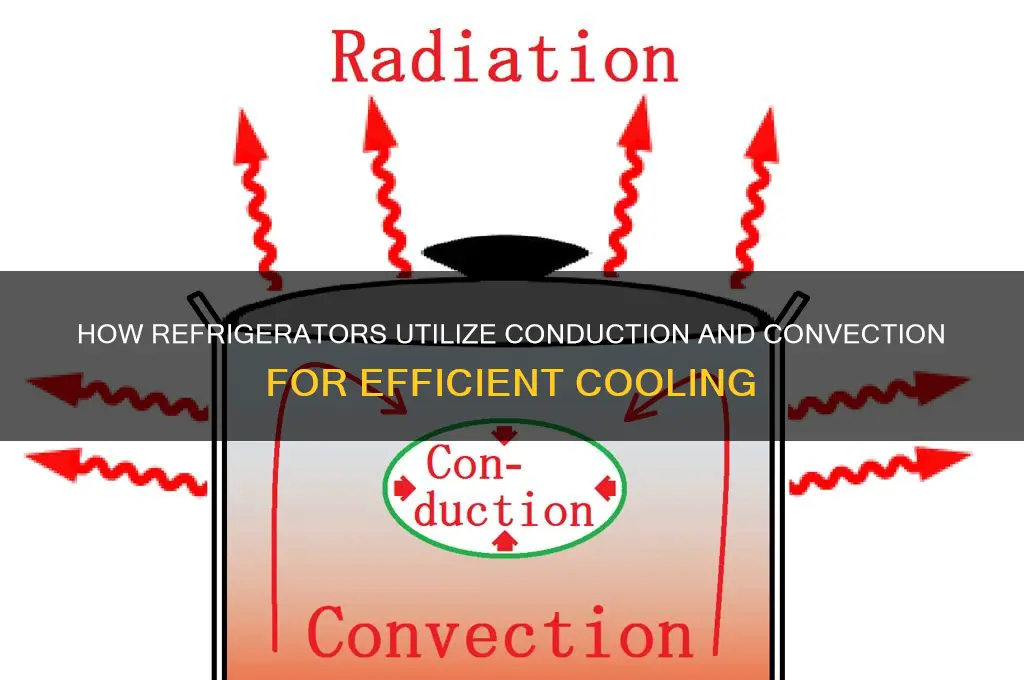 How Refrigerators Utilize Conduction And Convection For Efficient ...