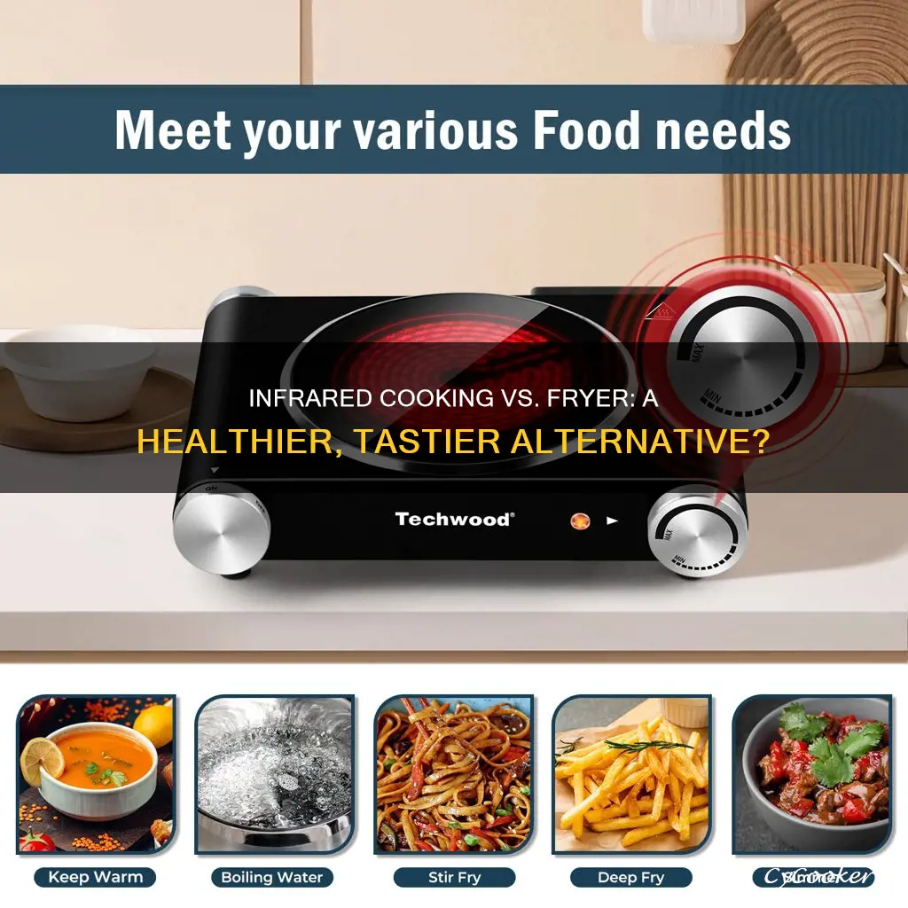 Infrared Cooking Vs. Fryer: A Healthier, Tastier Alternative? | CyCookery