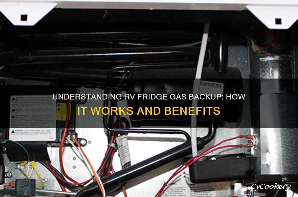 Understanding Rv Fridge Gas Backup: How It Works And Benefits | CyCookery
