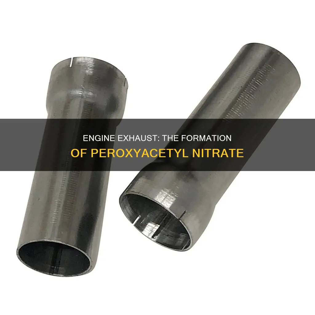 Engine Exhaust: The Formation Of Peroxyacetyl Nitrate | CyCookery