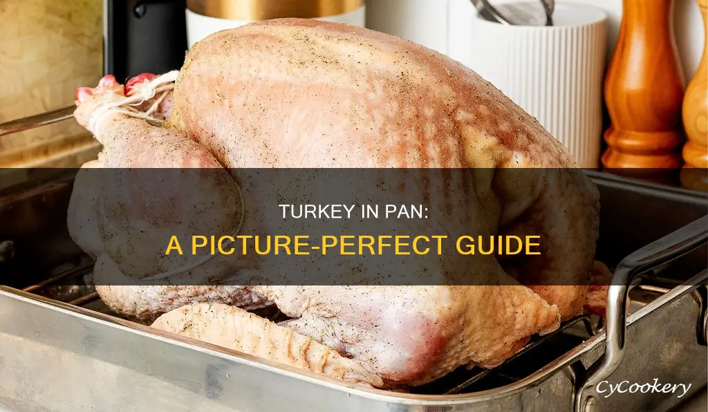 Turkey In Pan: A Picture-Perfect Guide | CyCookery