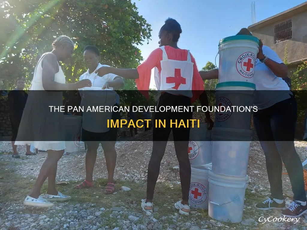 The Pan American Development Foundation's Impact In Haiti | CyCookery