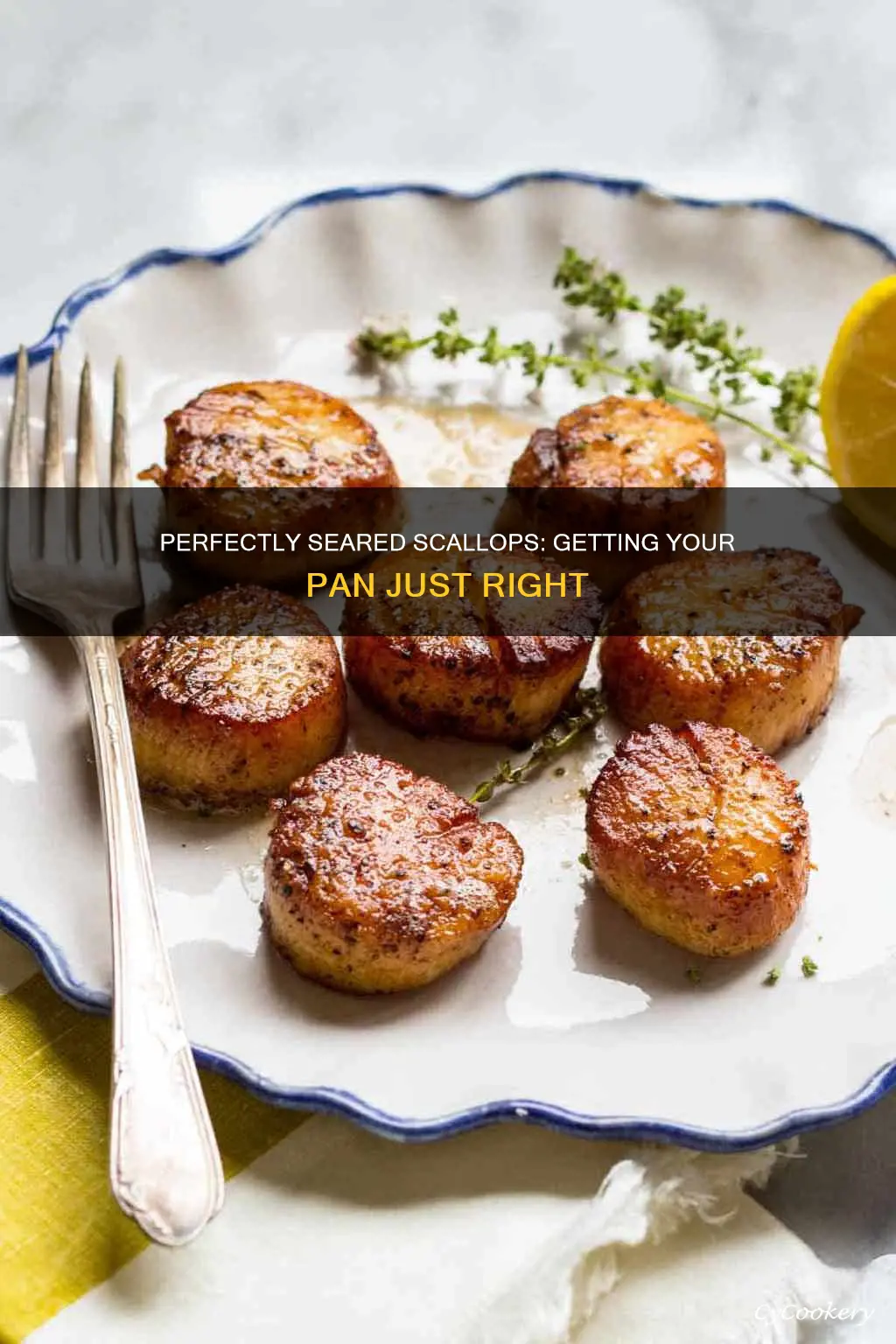Perfectly Seared Scallops: Getting Your Pan Just Right | CyCookery