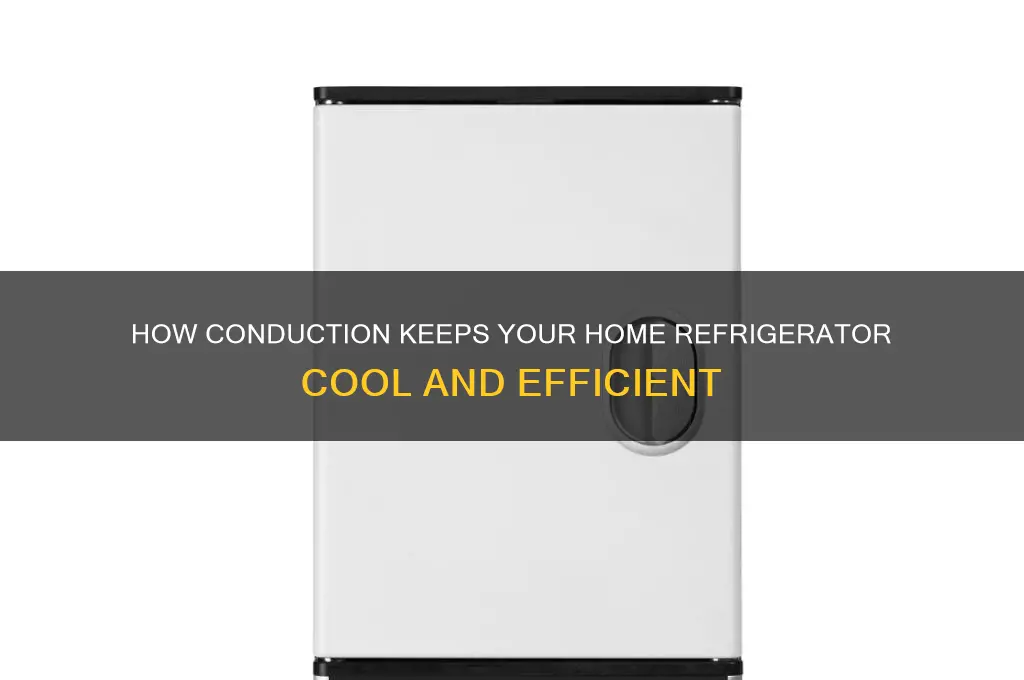 How Conduction Keeps Your Home Refrigerator Cool And Efficient | CyCookery