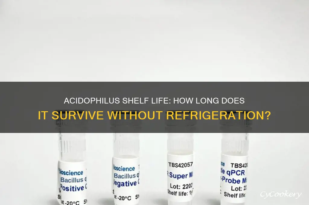 Acidophilus Shelf Life: How Long Does It Survive Without Refrigeration ...