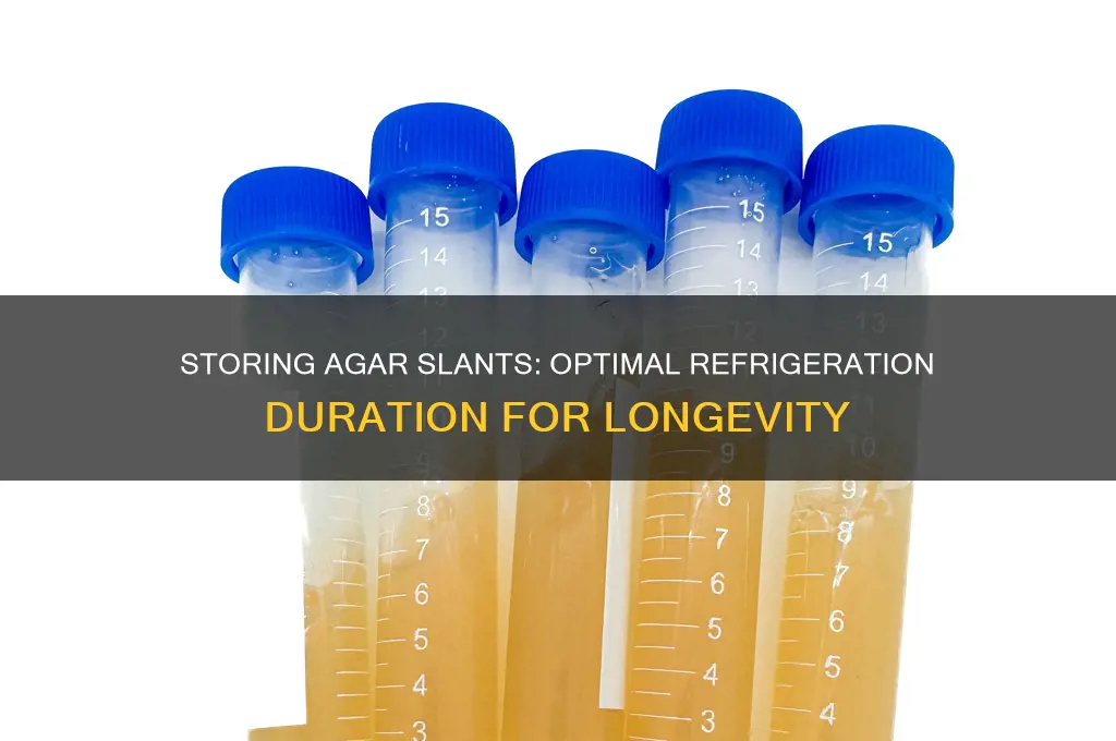 Storing Agar Slants: Optimal Refrigeration Duration For Longevity ...