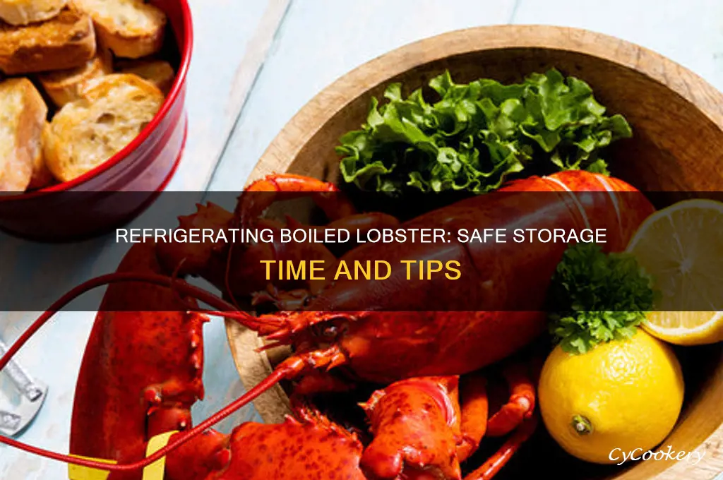 Refrigerating Boiled Lobster: Safe Storage Time And Tips | CyCookery