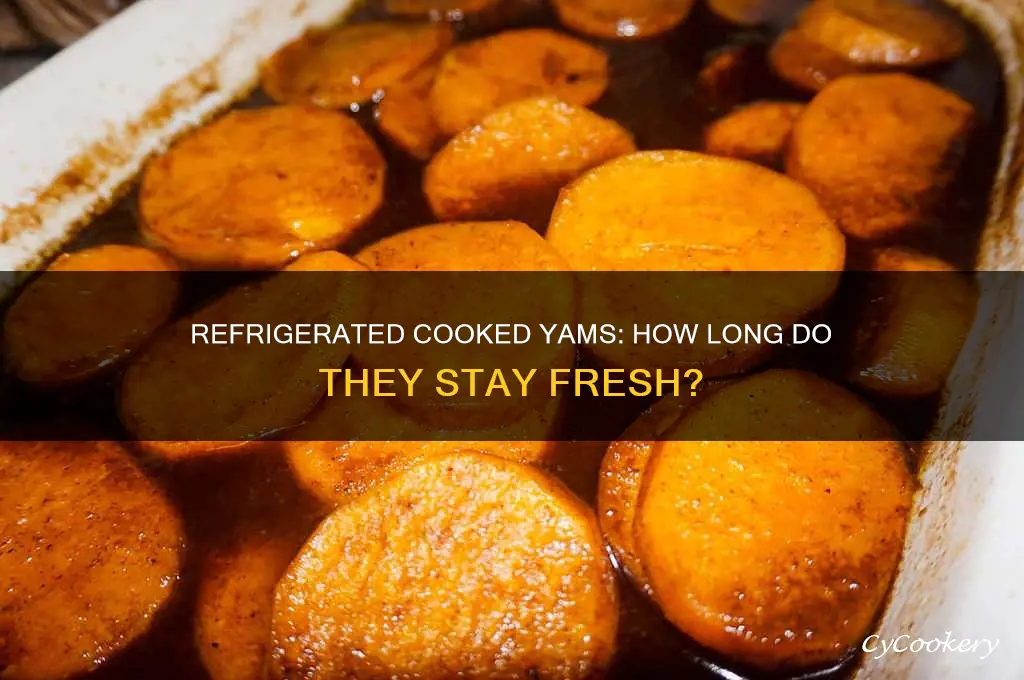 Refrigerated Cooked Yams: How Long Do They Stay Fresh? | CyCookery