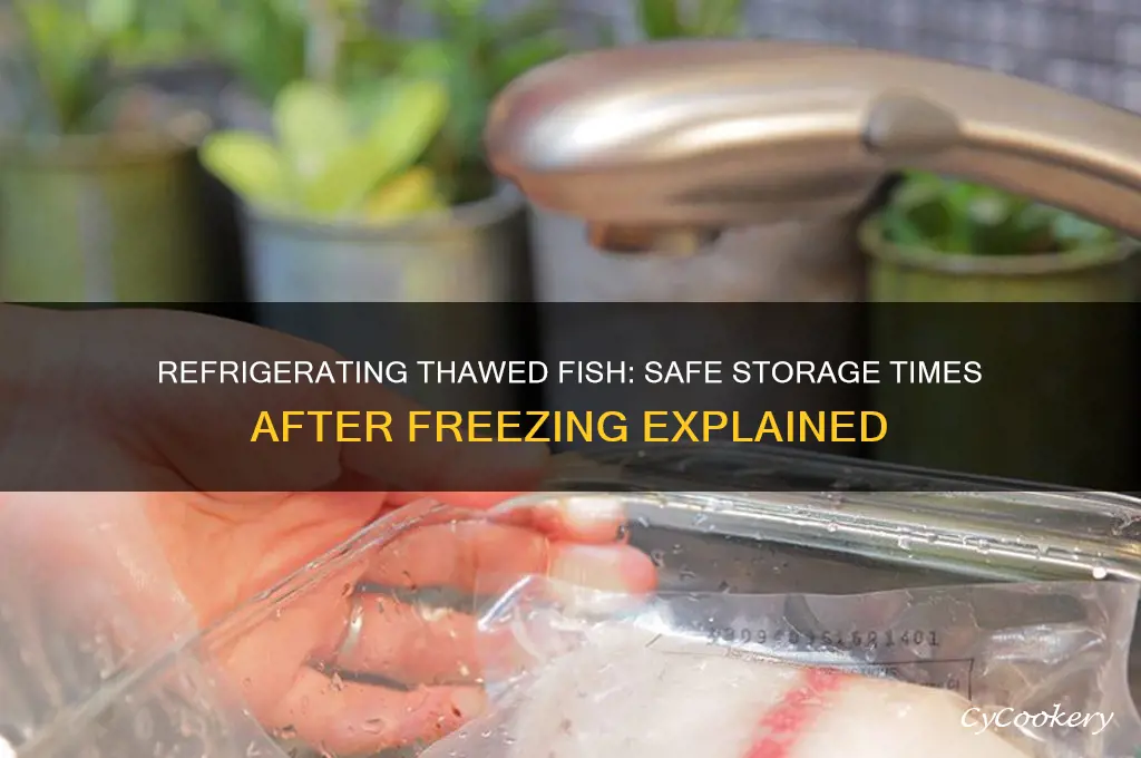 Refrigerating Thawed Fish: Safe Storage Times After Freezing Explained ...
