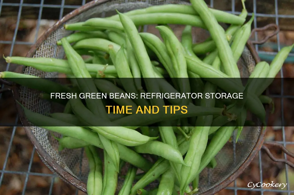 Fresh Green Beans: Refrigerator Storage Time And Tips | CyCookery