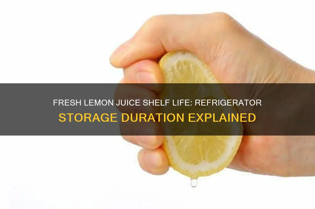 Fresh Lemon Juice Shelf Life: Refrigerator Storage Duration Explained ...