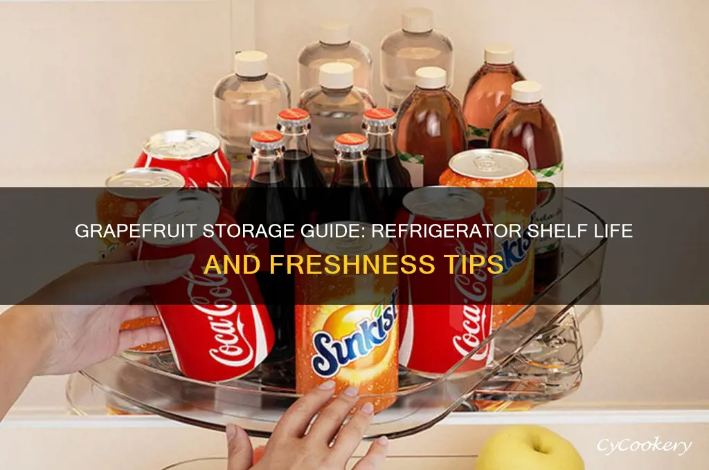 Grapefruit Storage Guide: Refrigerator Shelf Life And Freshness Tips ...