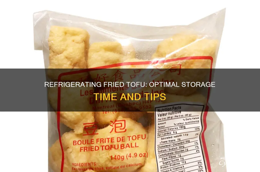 Refrigerating Fried Tofu: Optimal Storage Time And Tips | CyCookery