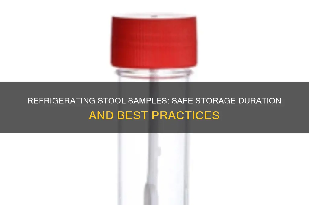 Refrigerating Stool Samples: Safe Storage Duration And Best Practices ...