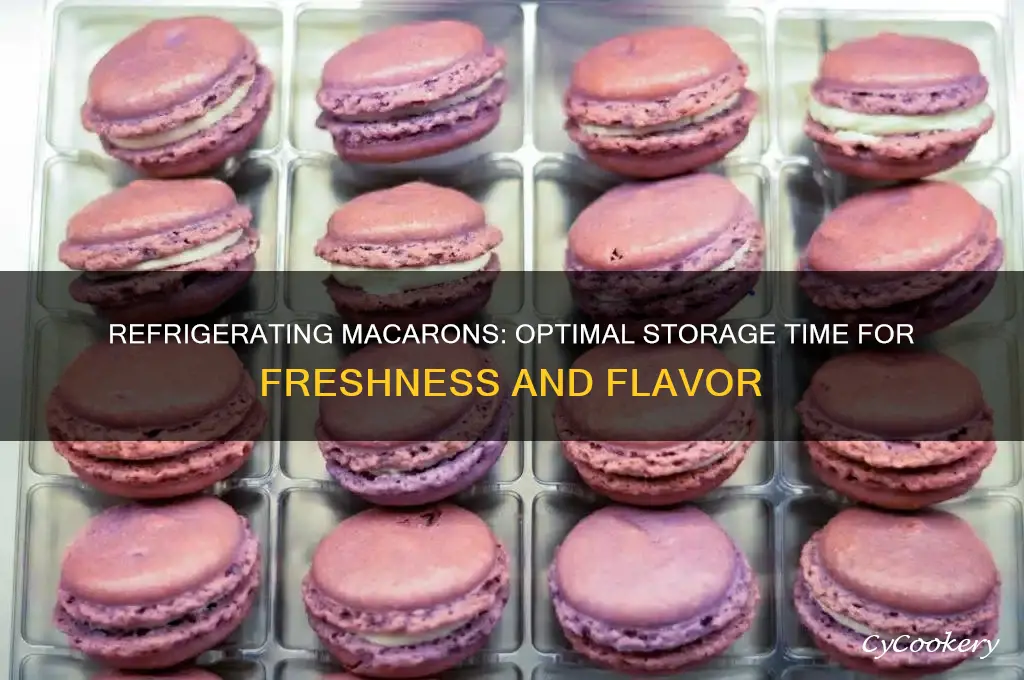Refrigerating Macarons: Optimal Storage Time For Freshness And Flavor ...