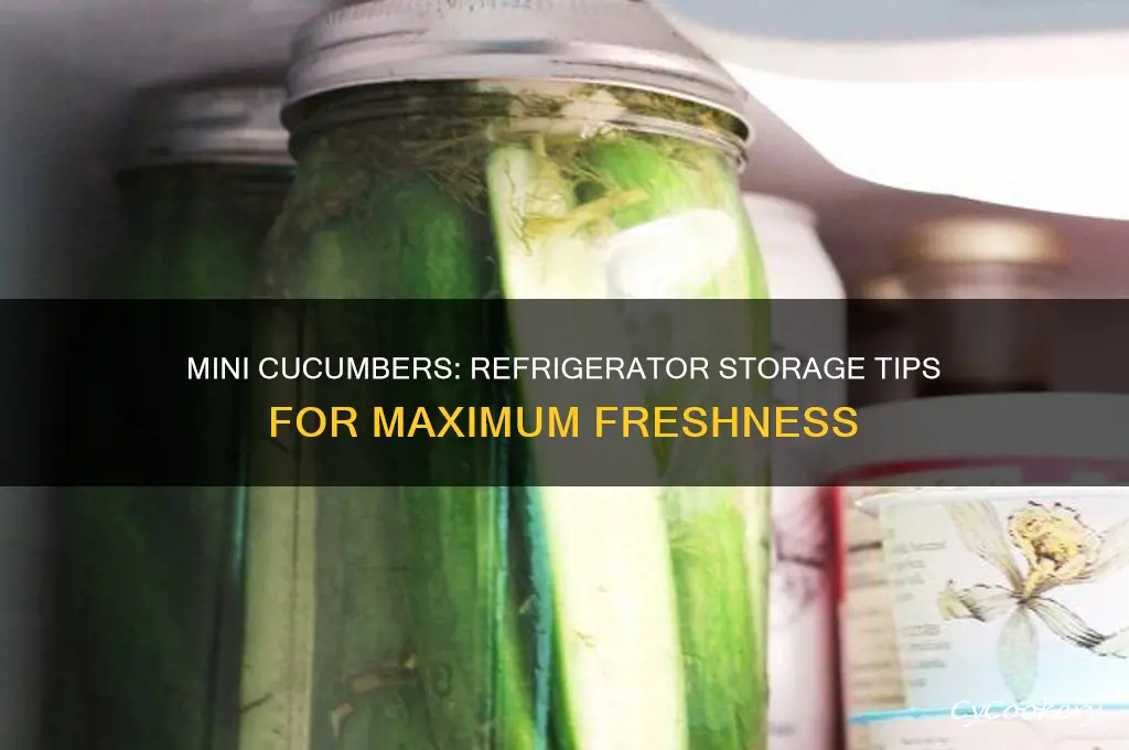 Mini Cucumbers: Refrigerator Storage Tips For Maximum Freshness | CyCookery