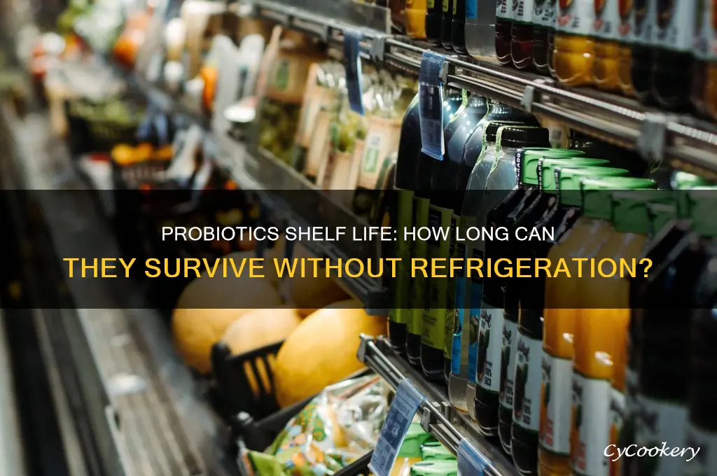 Probiotics Shelf Life: How Long Can They Survive Without Refrigeration ...