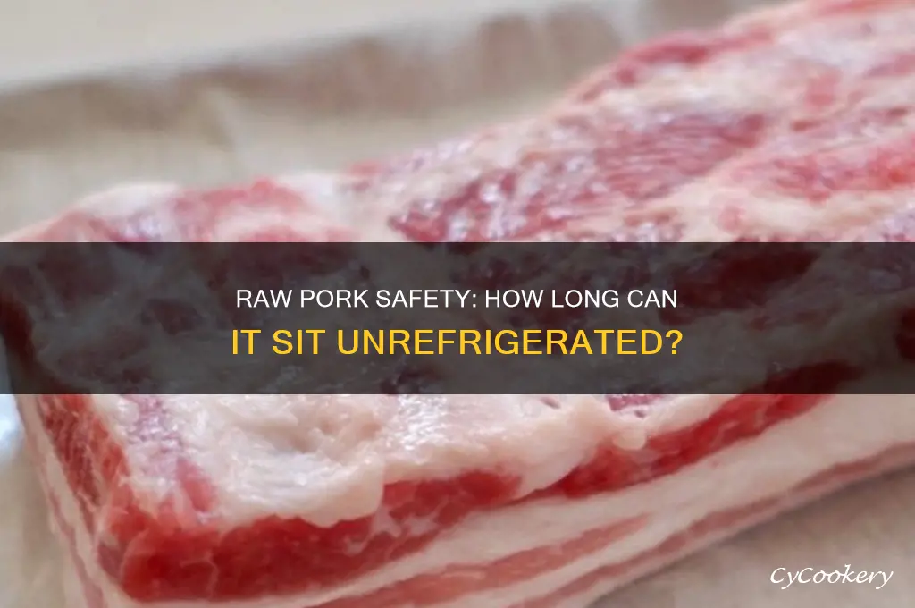 Interesting How Long Can Pork Sit Out Pictures