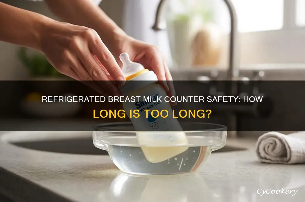 Refrigerated Breast Milk Counter Safety: How Long Is Too Long? | CyCookery