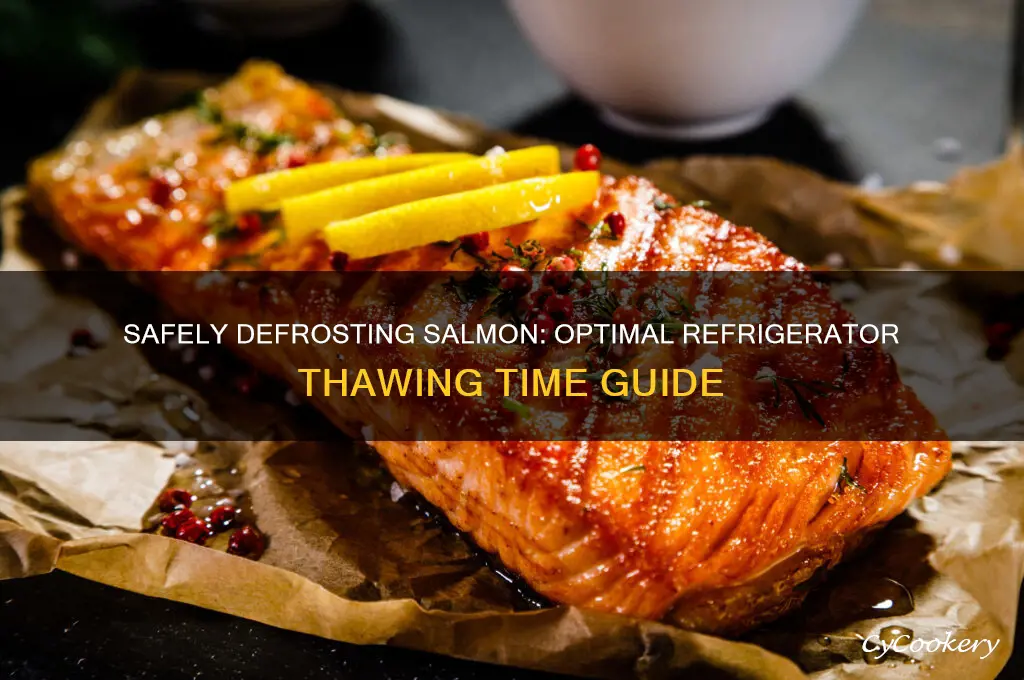 Safely Defrosting Salmon: Optimal Refrigerator Thawing Time Guide ...